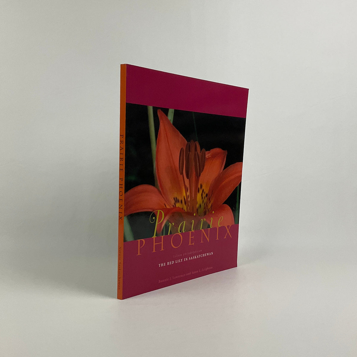 Prairie Phoenix : The Red Lily In Saskatchewan – Heart of Gold Books